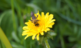 Soil, Compost & Ag Solutions - Jindalee
